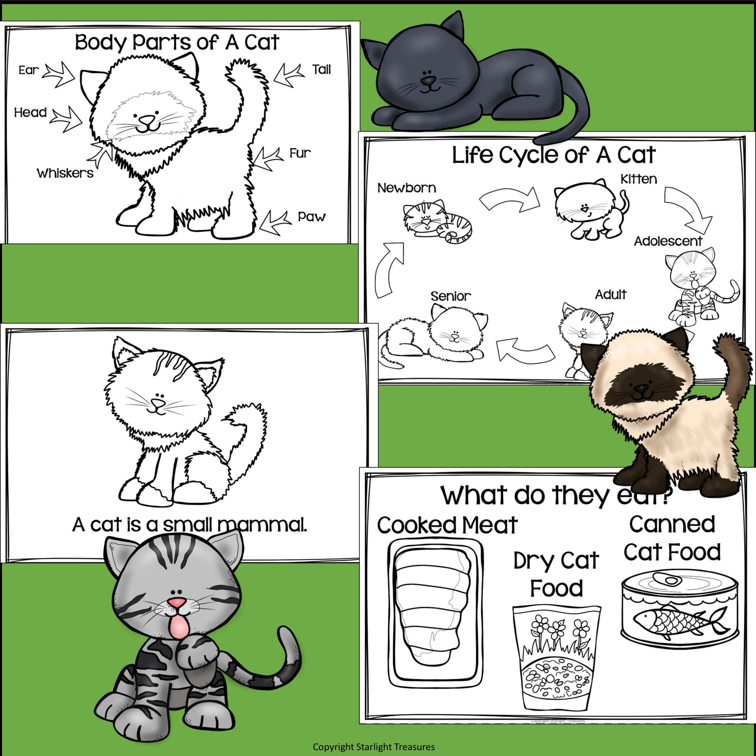 Cats Mini Book for Early Readers - Animal Study | Made By Teachers