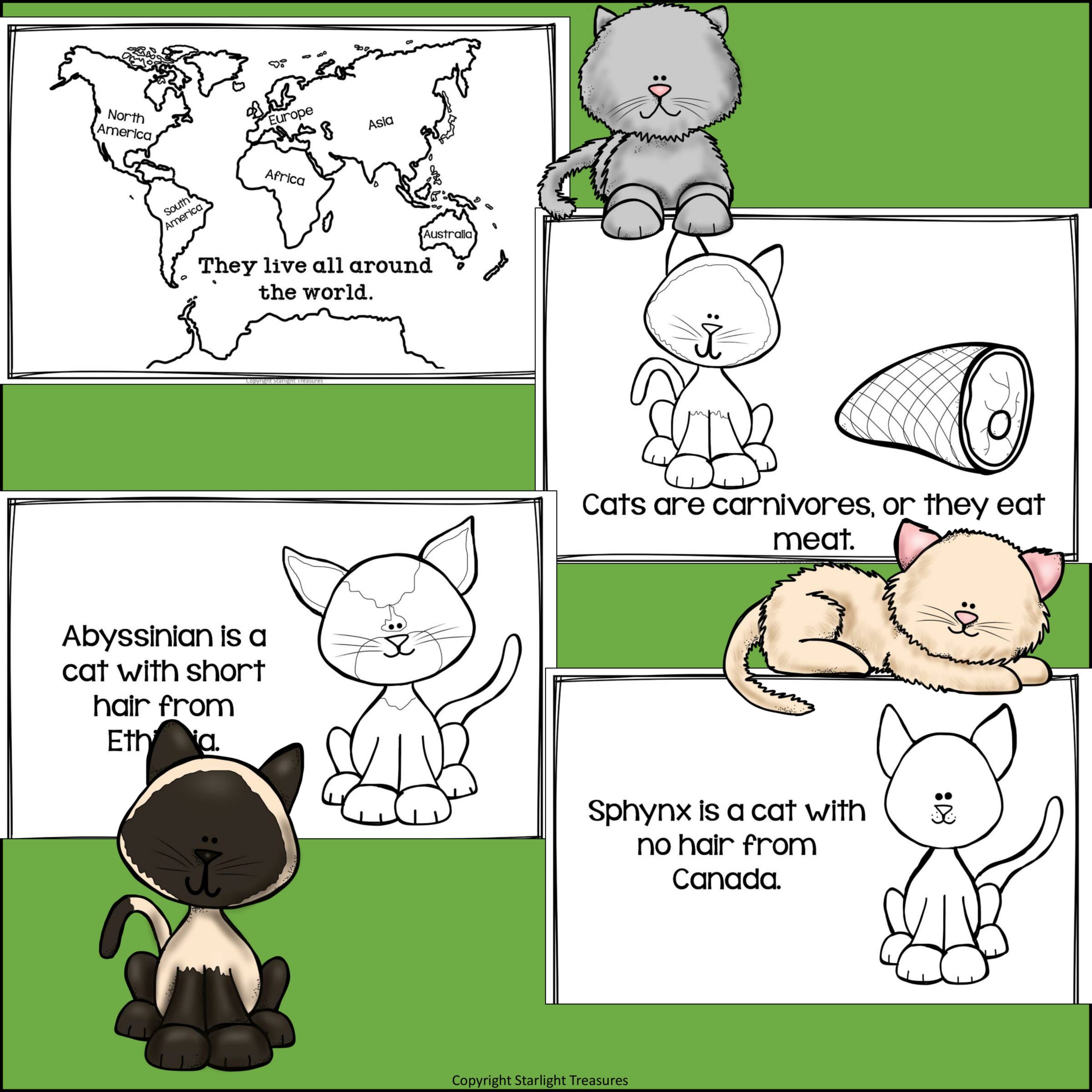 Cats Mini Book for Early Readers - Animal Study | Made By Teachers