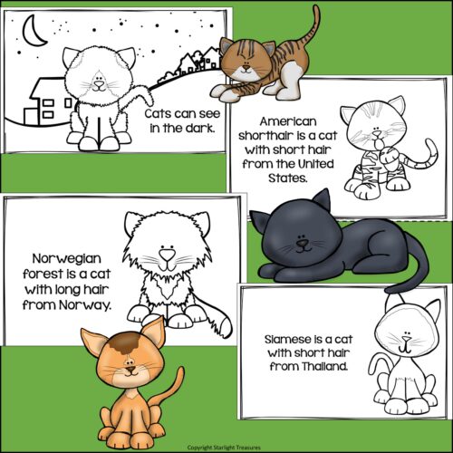 Cats Mini Book for Early Readers - Animal Study | Made By Teachers