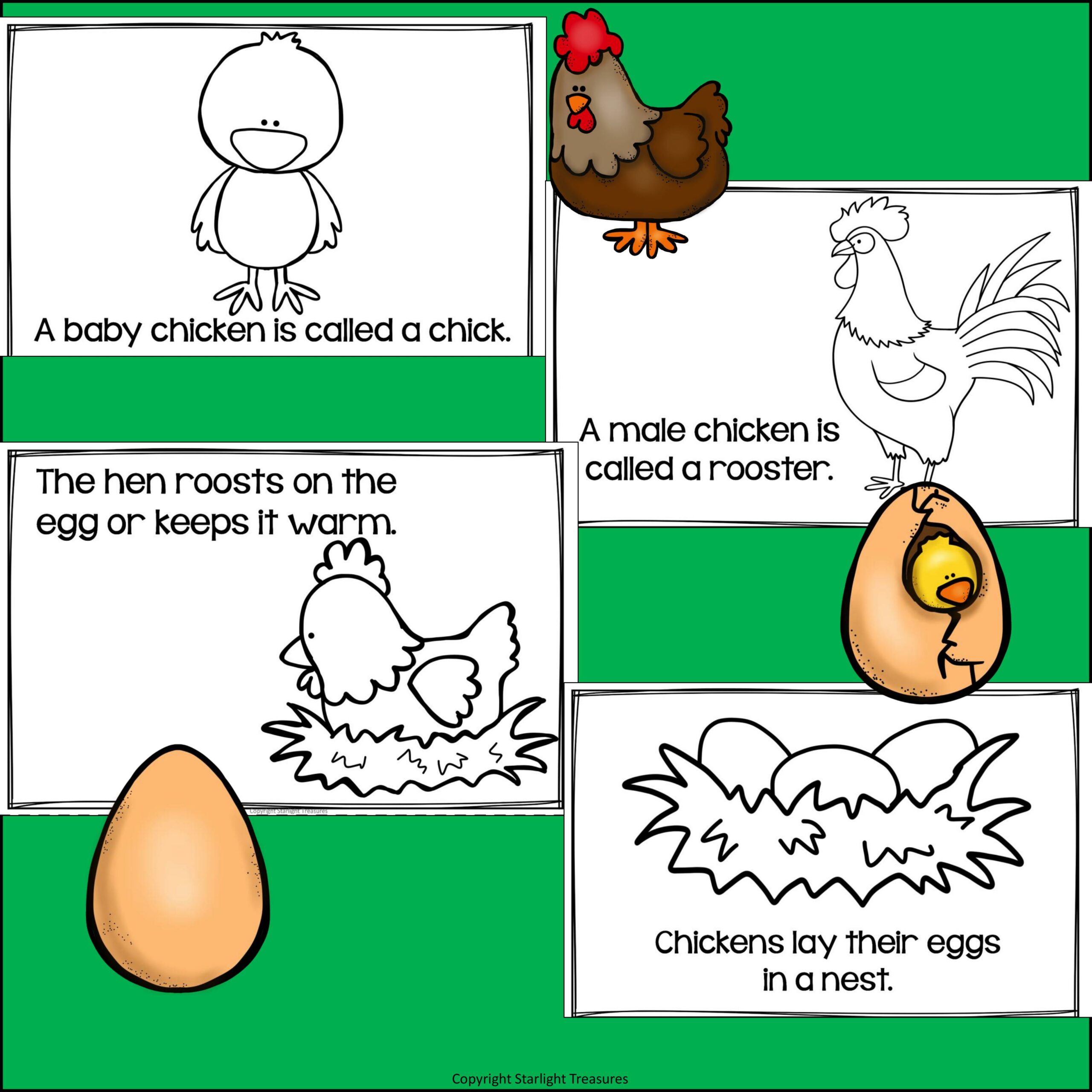 Chickens Mini Book for Early Readers - Animal Study | Made By Teachers