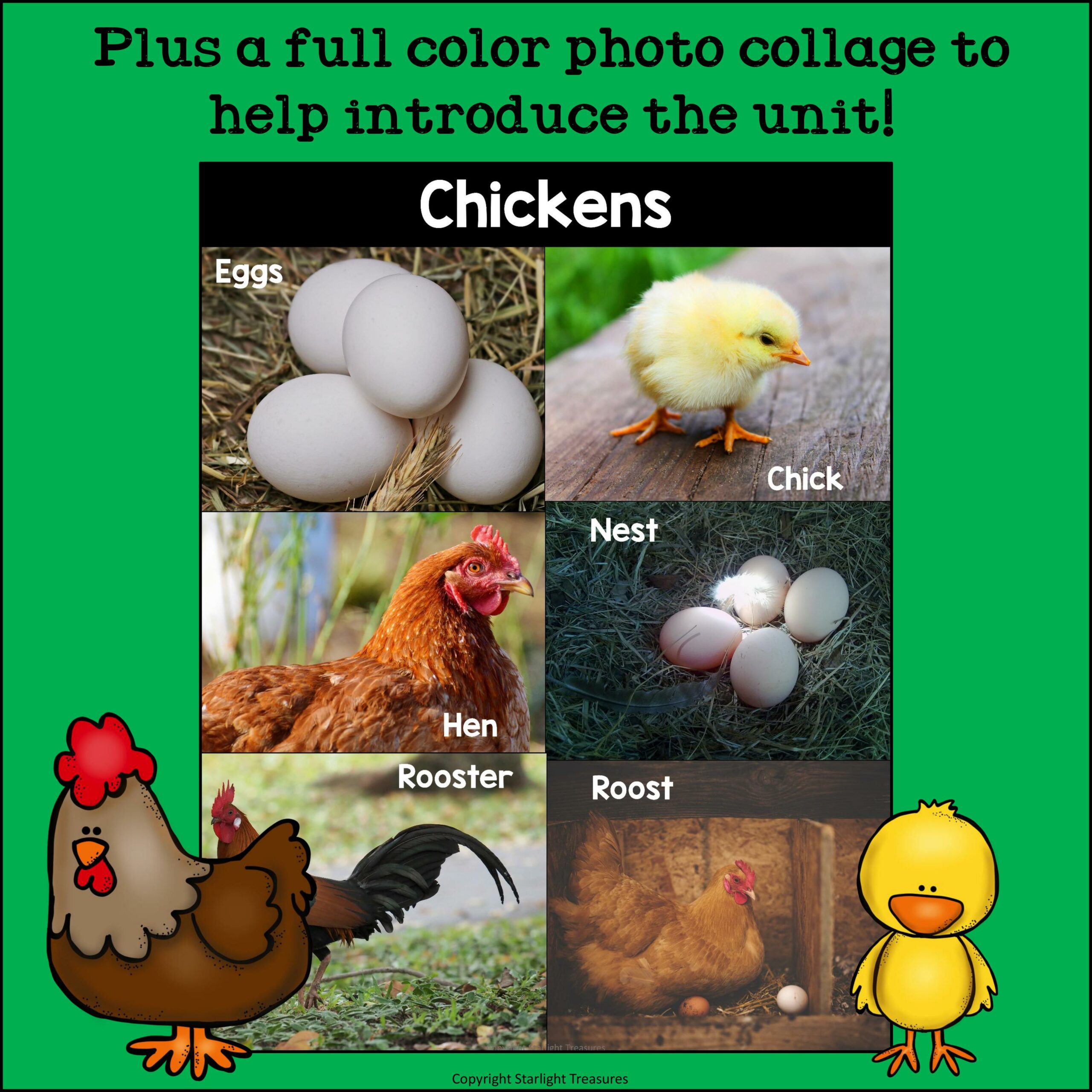 Chickens Mini Book for Early Readers - Animal Study | Made By Teachers