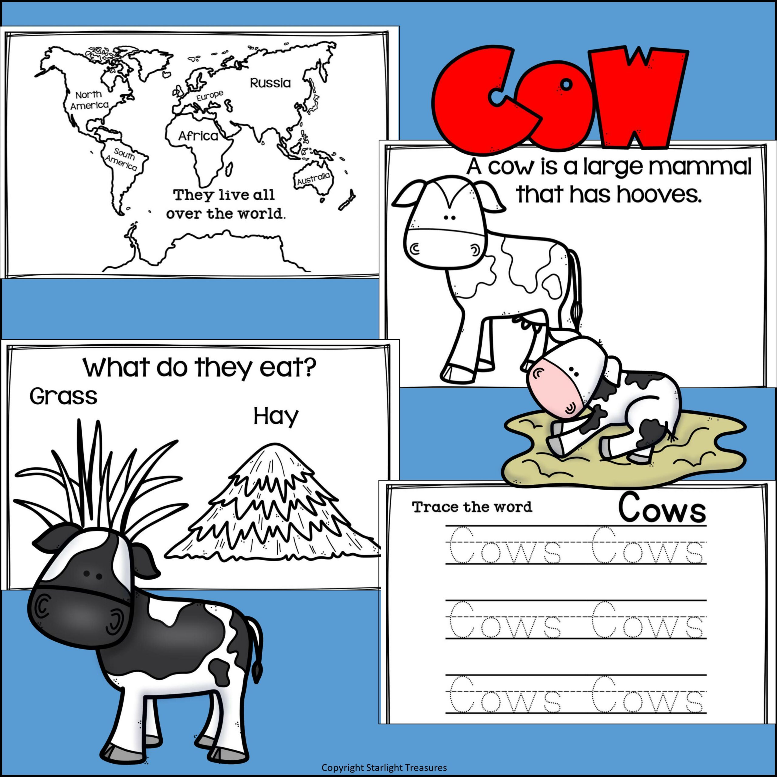 Cows Mini Book for Early Readers - Animal Study | Made By Teachers