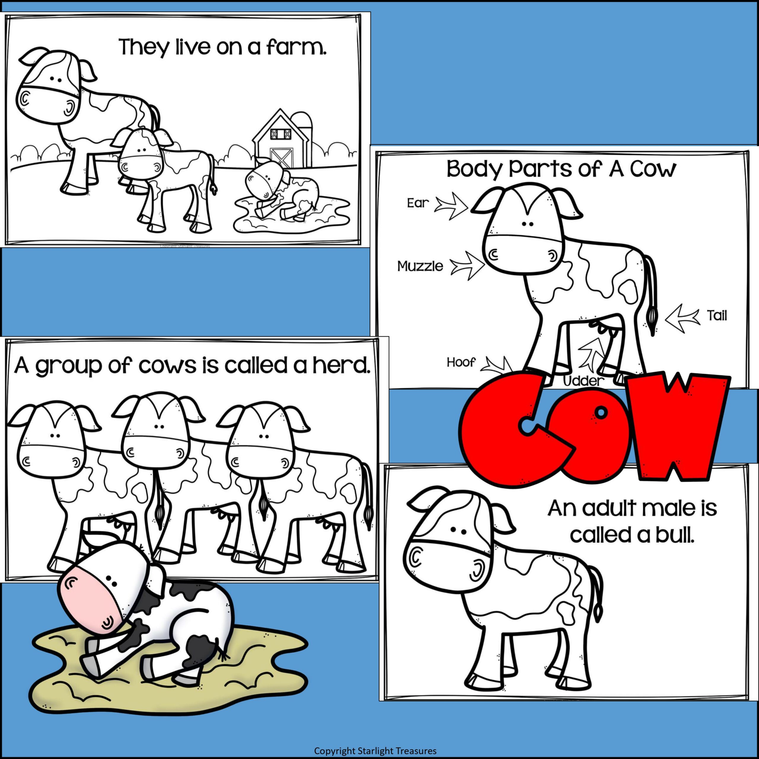 Cows Mini Book for Early Readers - Animal Study | Made By Teachers
