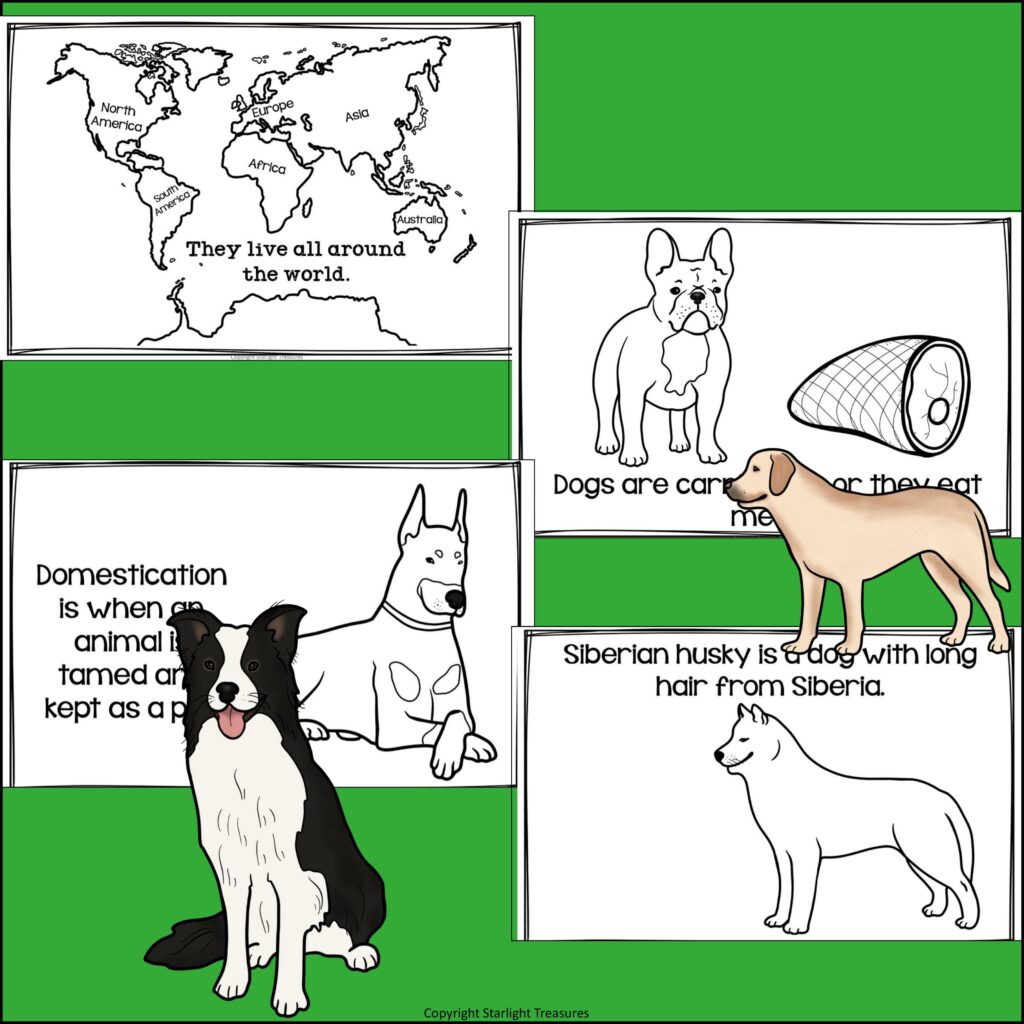 Dogs Mini Book for Early Readers - Animal Study | Made By Teachers