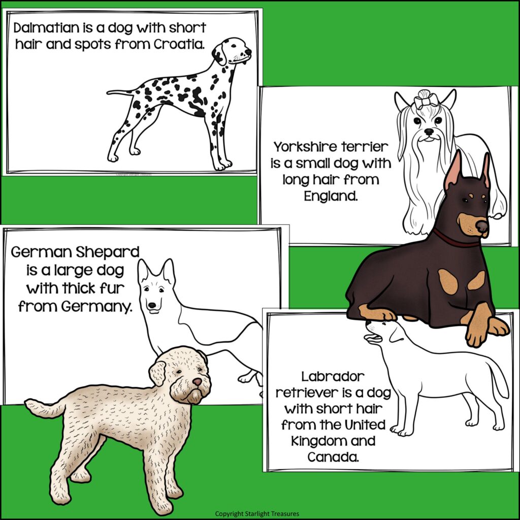 Dogs Mini Book for Early Readers - Animal Study | Made By Teachers