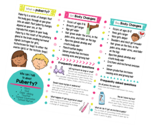 Puberty Pamphlet and Brochure | Made By Teachers