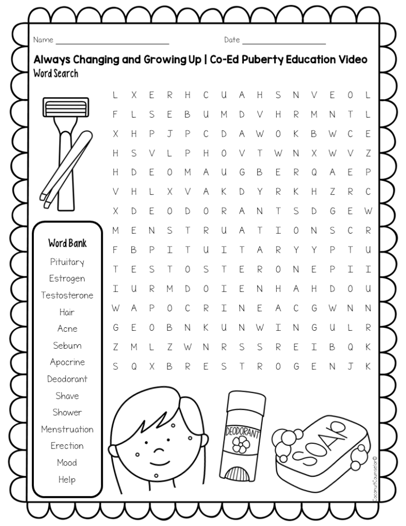 Puberty Lesson and Pamphlet Bundle | Made By Teachers