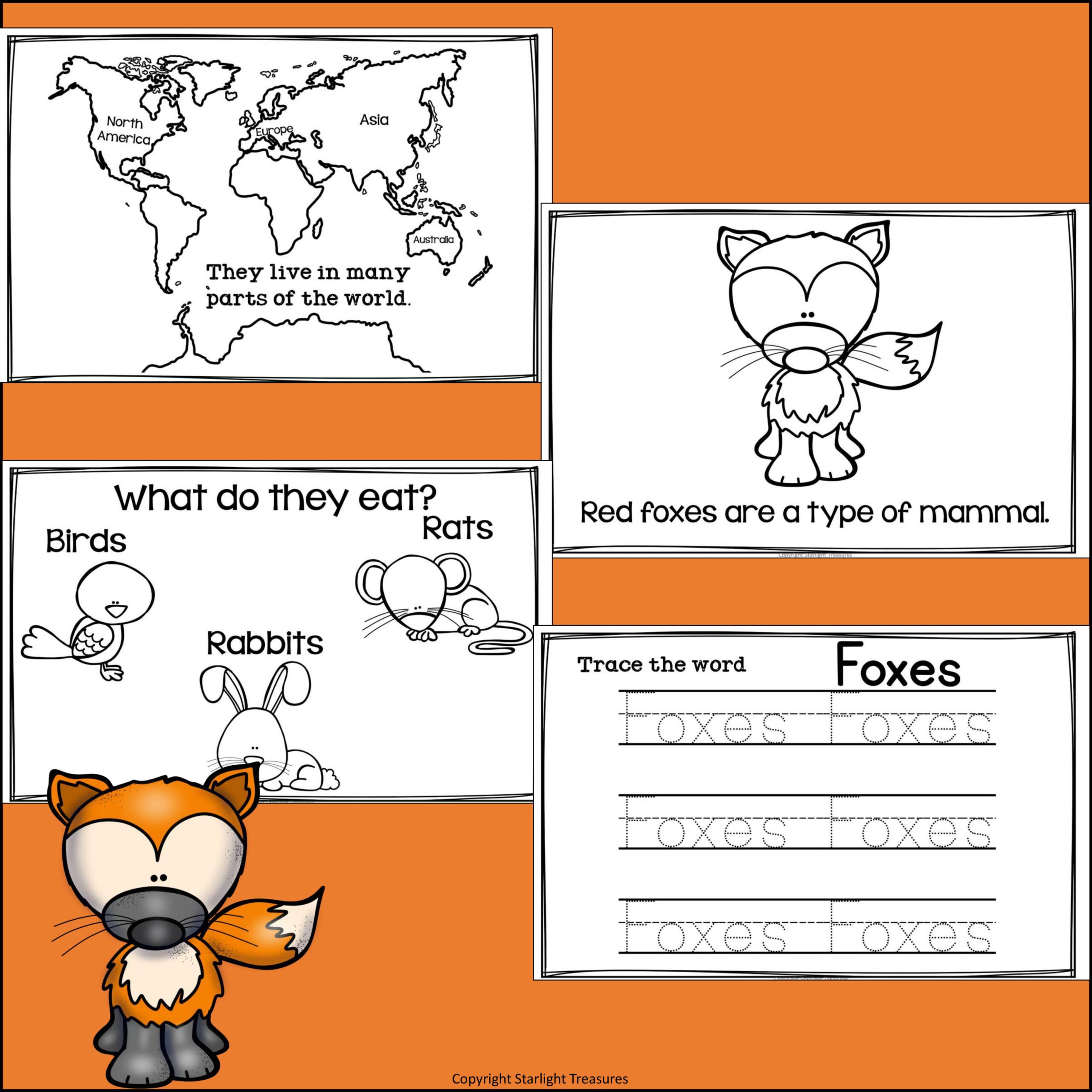 Foxes Mini Book for Early Readers - Animal Study | Made By Teachers