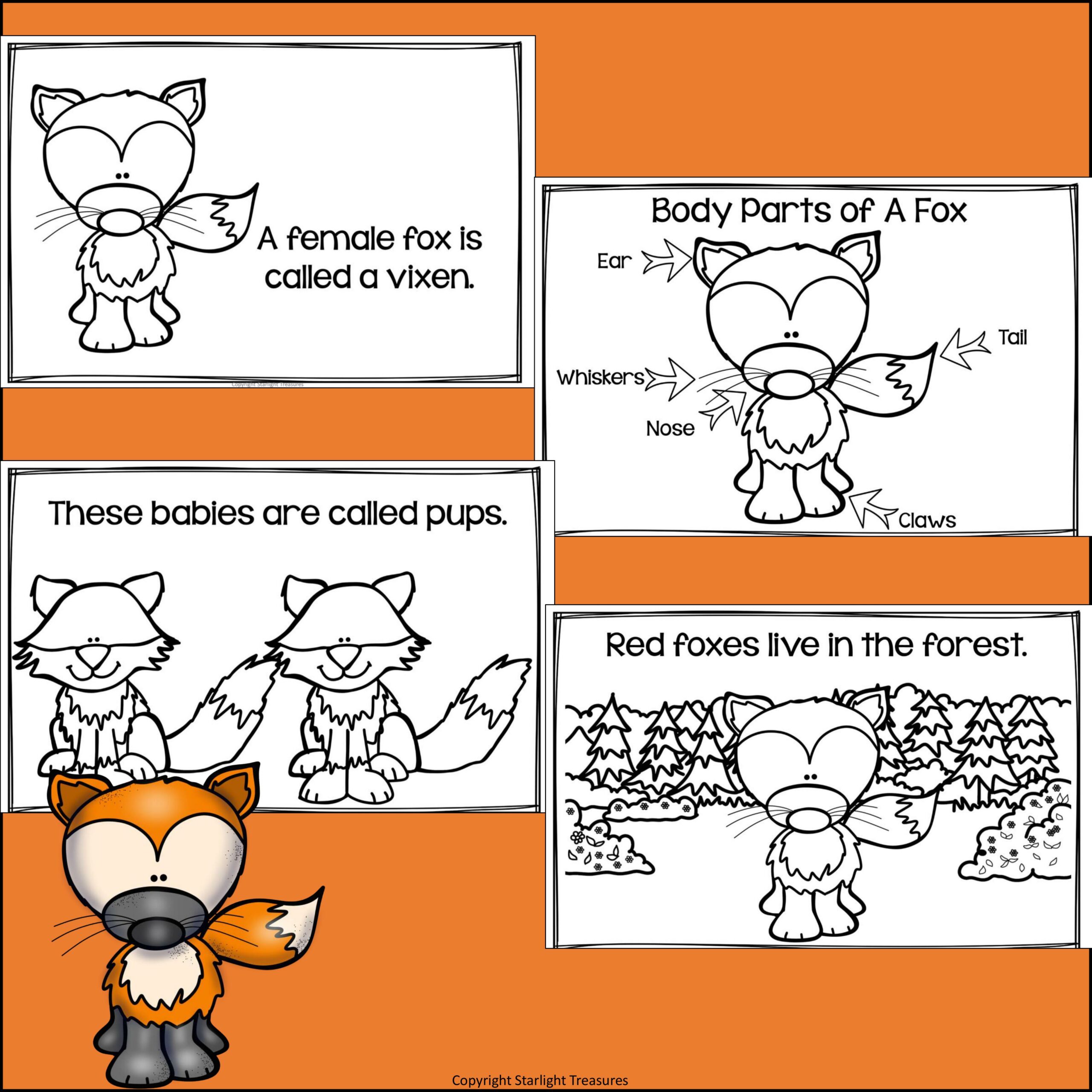 Foxes Mini Book for Early Readers - Animal Study | Made By Teachers