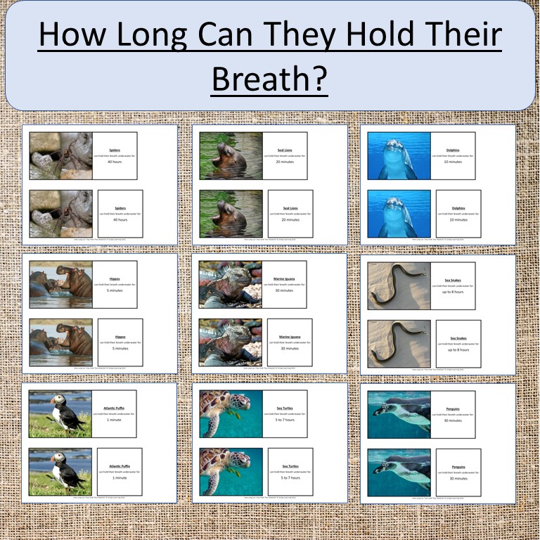 How Long Can They Hold Their Breath? Animals Water Science | Made By ...