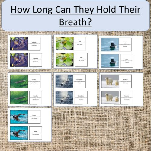 How Long Can They Hold Their Breath? Animals Water Science | Made By ...