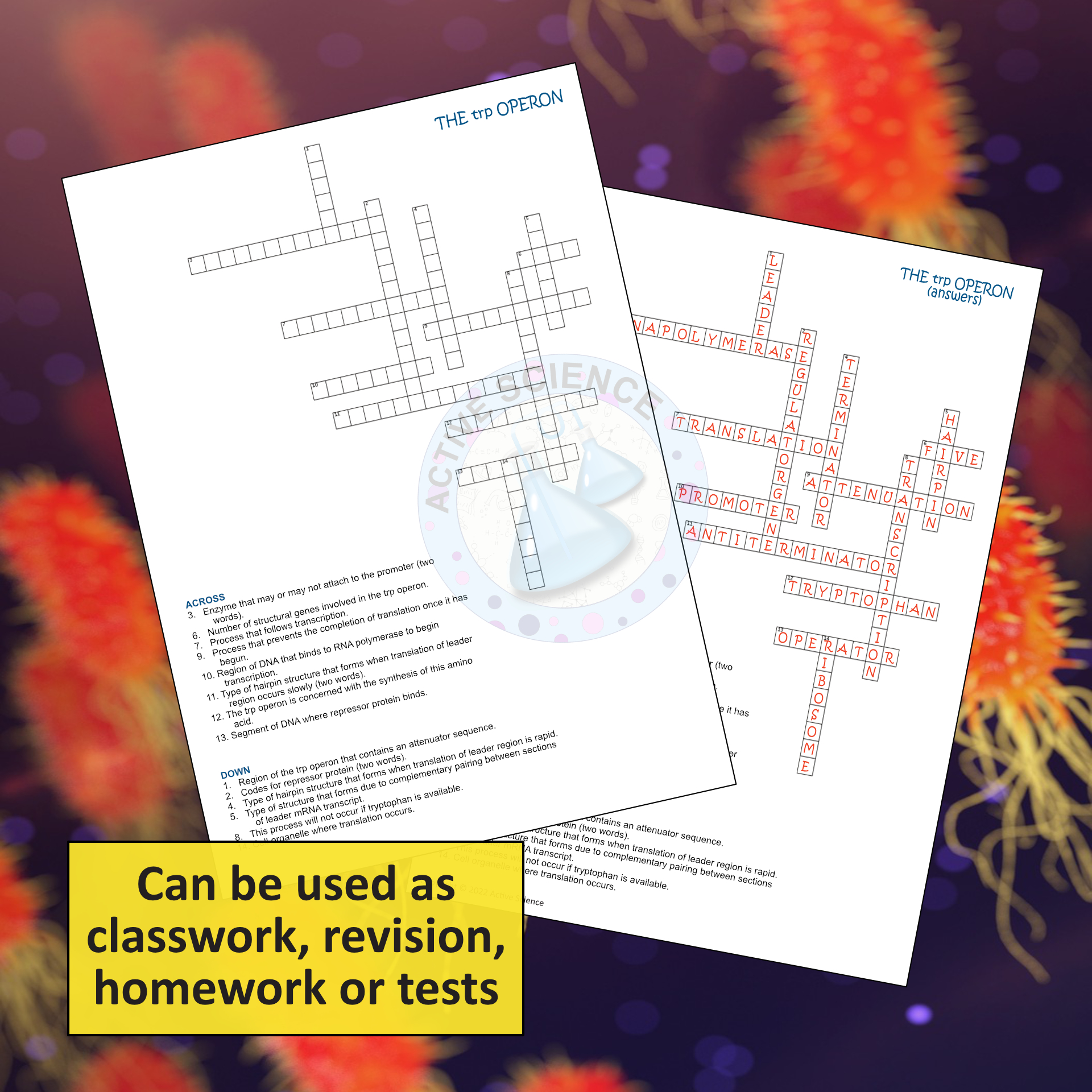The trp Operon: gene regulation in bacteria | Made By Teachers