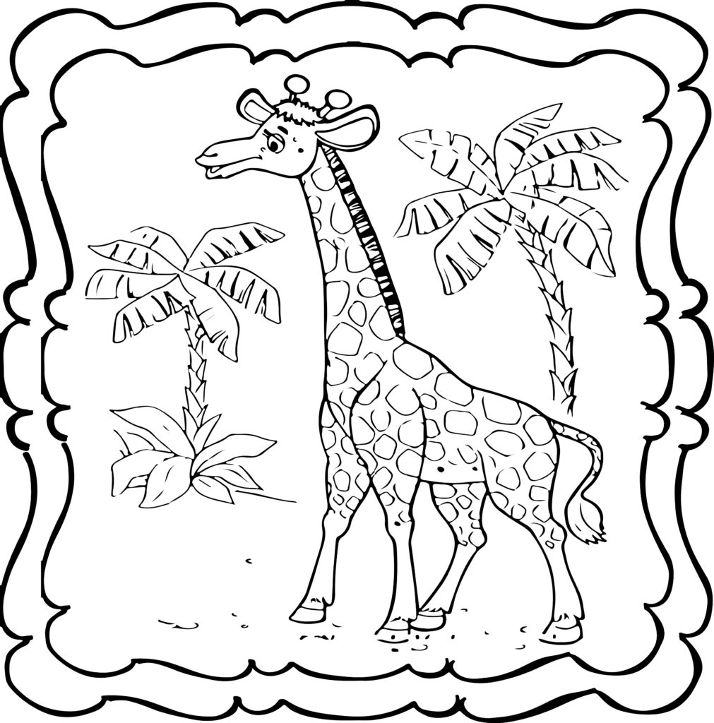 Giraffe Coloring Book : Easy and Fun Giraffes Coloring Book for Kids ...