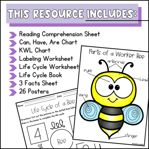 Life Cycle of a Bee Activities, Worksheets, Booklet - Honeybee Life ...