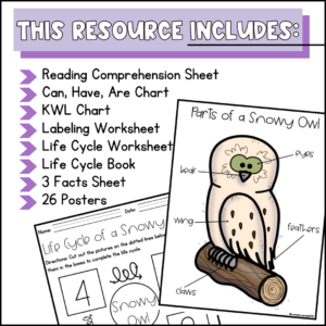 Life Cycle of a Snowy Owl Activities, Worksheets, Booklet - Snowy Owl ...