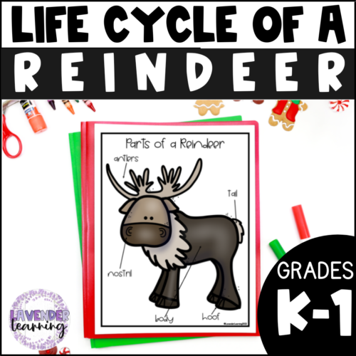 Life Cycle of a Reindeer Activities, Worksheets, Booklet - Reindeer ...