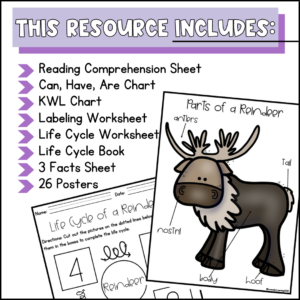 Life Cycle of a Reindeer Activities, Worksheets, Booklet - Reindeer ...