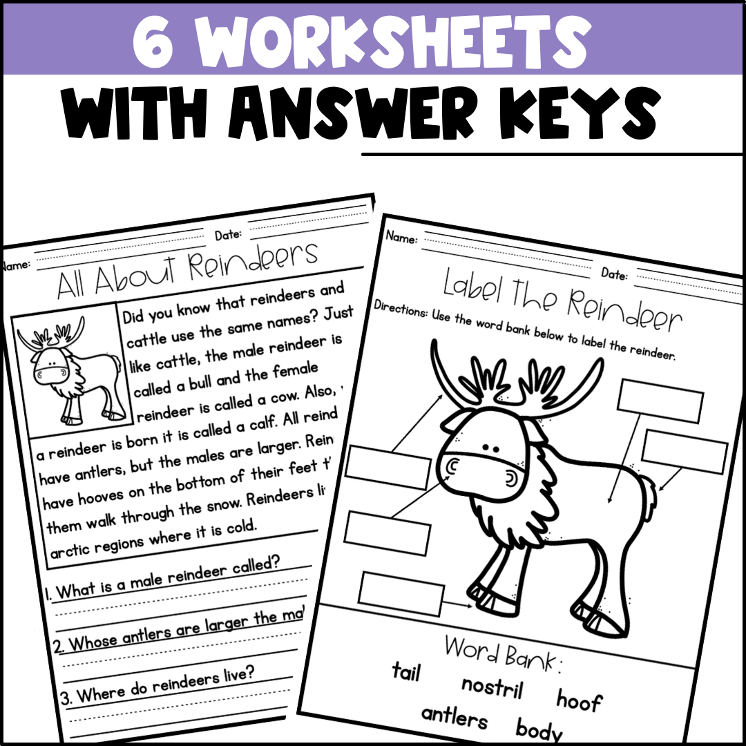 Life Cycle of a Reindeer Activities, Worksheets, Booklet - Reindeer ...
