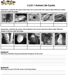 3rd Grade Life Cycles 3.LS1.1 Activities | Made By Teachers