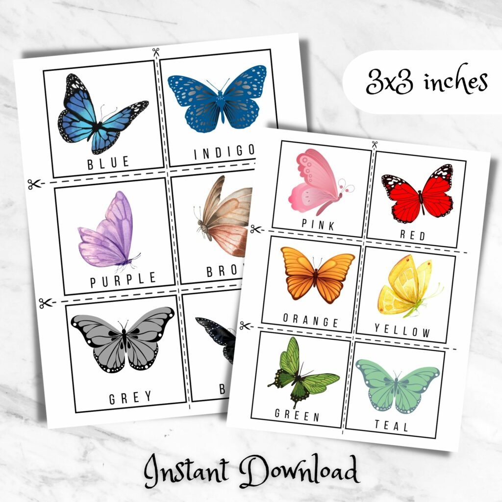 12 Color butterflys cards, Pre-School Cards, Educational Printable ...