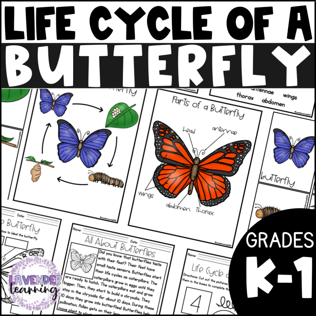 Life Cycle of a Butterfly Activities, Worksheets, Booklet - Butterfly ...