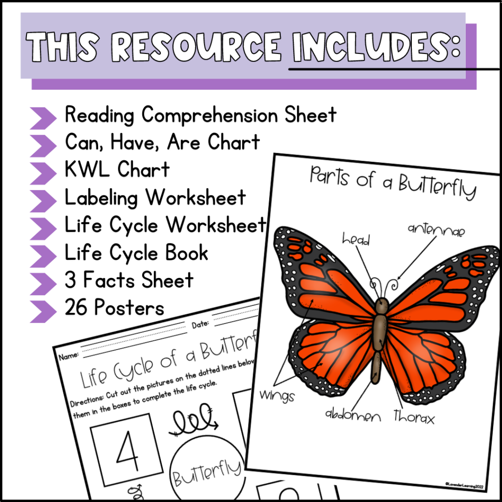 Life Cycle of a Butterfly Activities, Worksheets, Booklet - Butterfly ...
