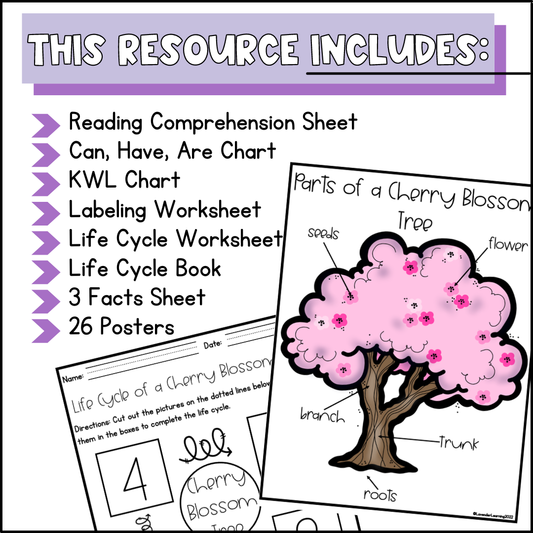 Life Cycle of a Cherry Blossom Tree Activities, Worksheets, Booklet ...