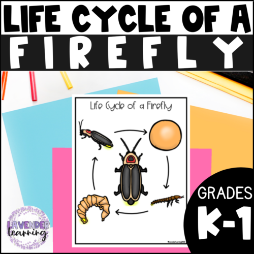 Life Cycle of a Firefly Activities, Worksheets, Booklet - Firefly Life ...
