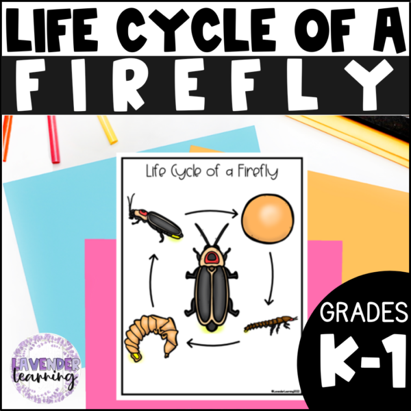 Life Cycle of a Firefly Activities, Worksheets, Booklet - Firefly Life ...