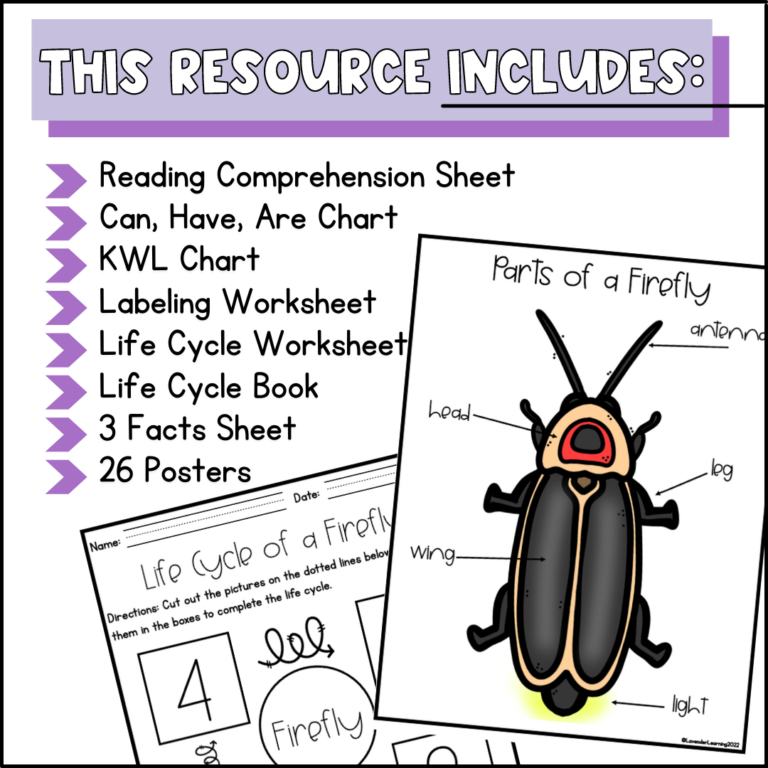 Life Cycle of a Firefly Activities, Worksheets, Booklet - Firefly Life ...
