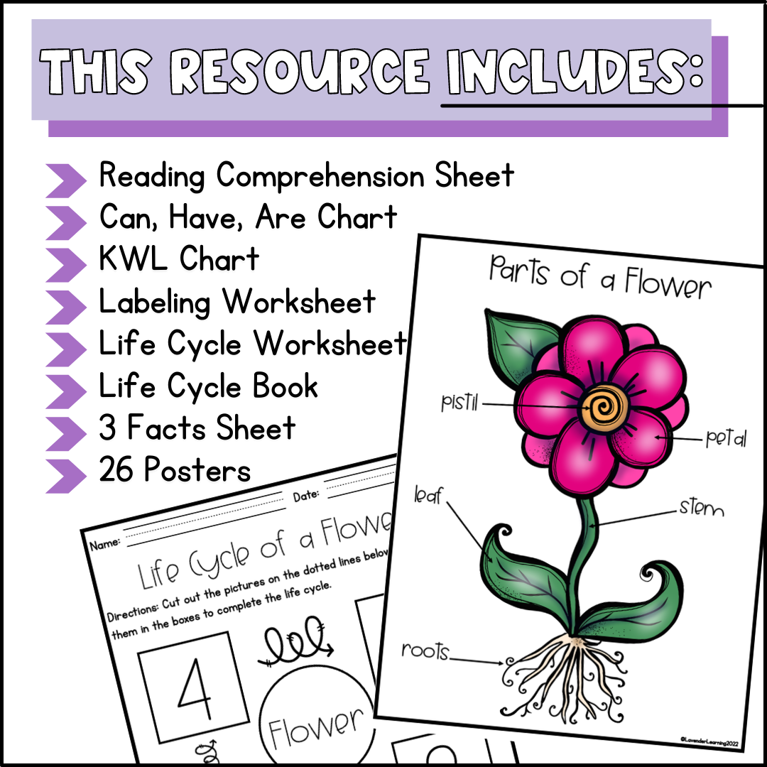 Life Cycle of a Flower Activities, Worksheets, Booklet - Flower Life ...
