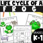 Life Cycle of a Frog Activities, Worksheets, Booklet, Posters - Frog ...