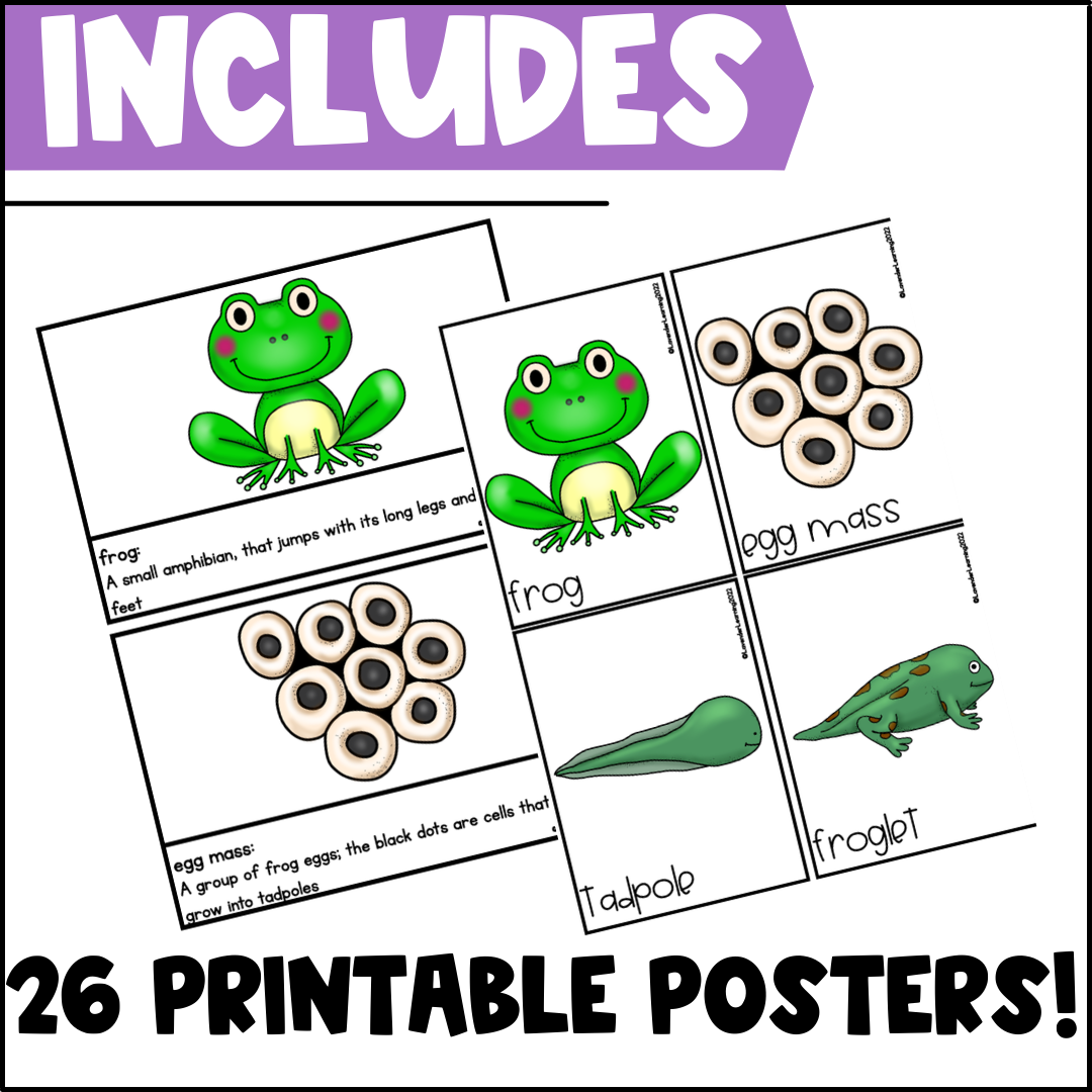 Life Cycle of a Frog Activities, Worksheets, Booklet, Posters - Frog ...