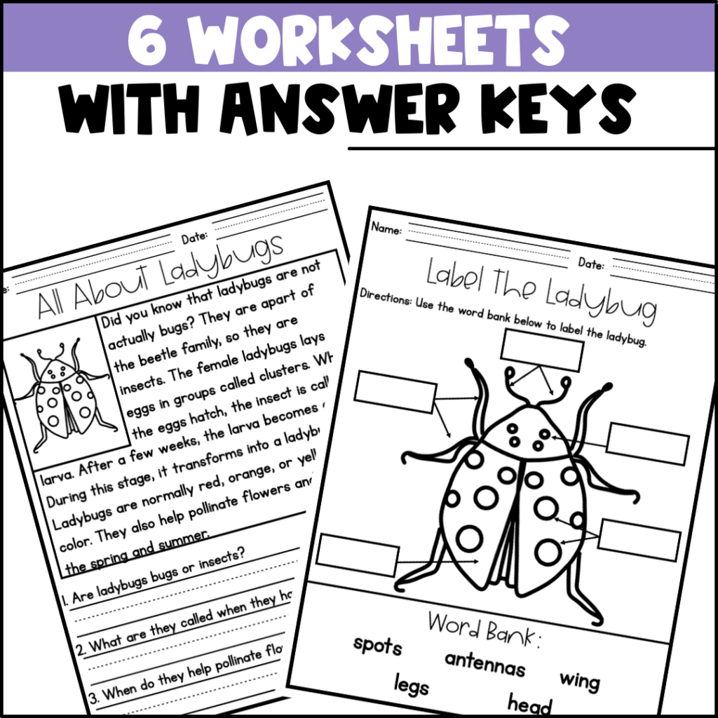 Life Cycle of a Ladybug Activities, Worksheets, Booklet - Ladybug Life ...