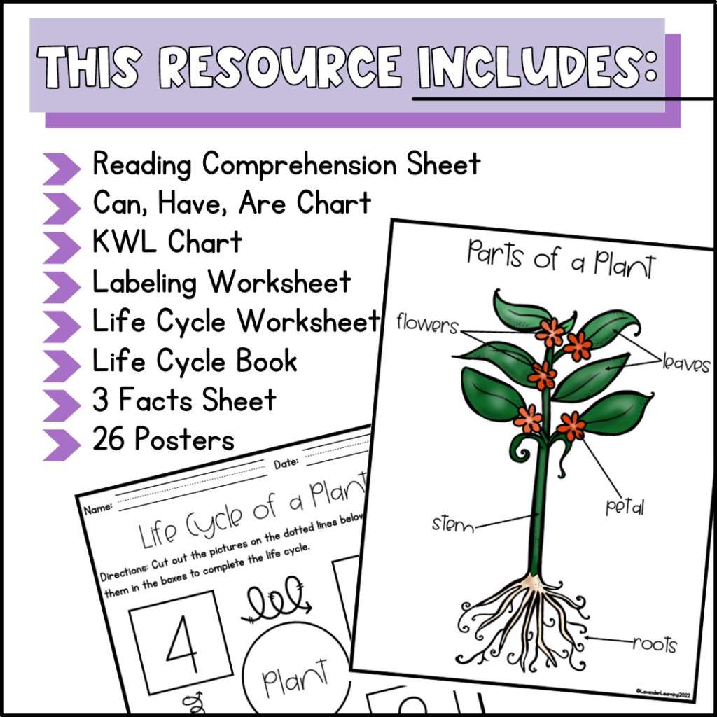 Life Cycle of a Plant Activities, Worksheets, Booklet, Poster - Plant ...