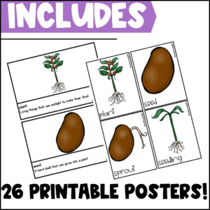 Life Cycle of a Plant Activities, Worksheets, Booklet, Poster - Plant ...