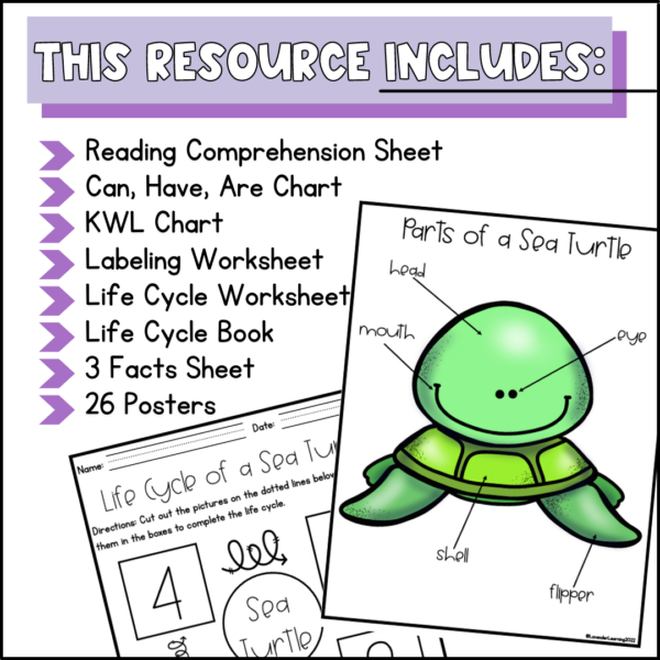Life Cycle of a Sea Turtle Activities, Worksheets - Sea Turtle Life ...