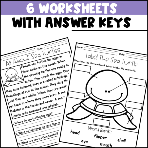 Life Cycle of a Sea Turtle Activities, Worksheets - Sea Turtle Life ...