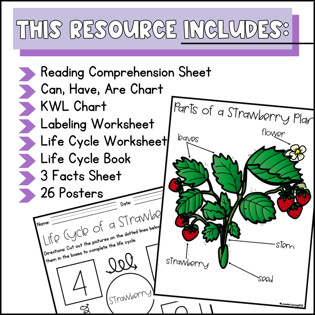 Life Cycle of a Strawberry Activities, Worksheets - Strawberry Life ...