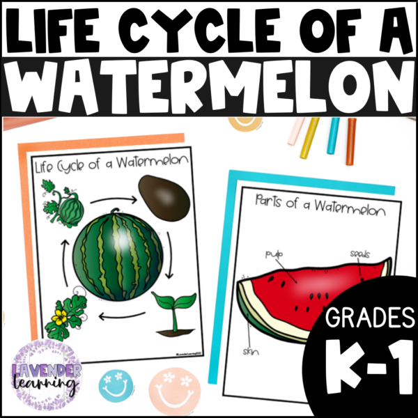 Life Cycle of a Watermelon Activities, Worksheets - Watermelon Life ...
