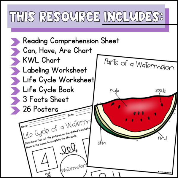 Life Cycle of a Watermelon Activities, Worksheets - Watermelon Life ...