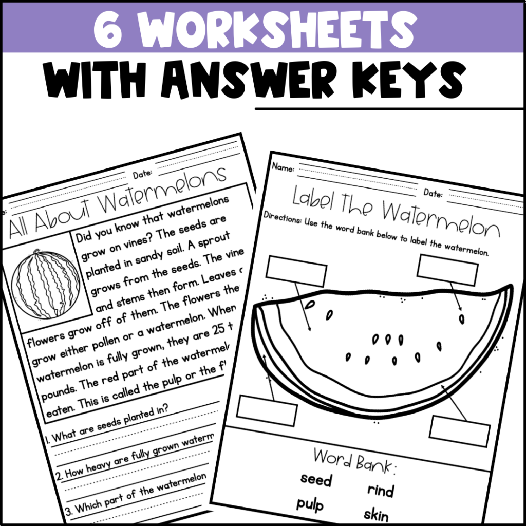 Life Cycle of a Watermelon Activities, Worksheets - Watermelon Life ...