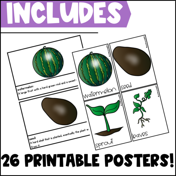 Life Cycle of a Watermelon Activities, Worksheets - Watermelon Life ...