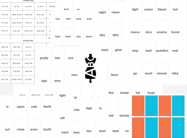 Antonym Matching Game | Made By Teachers