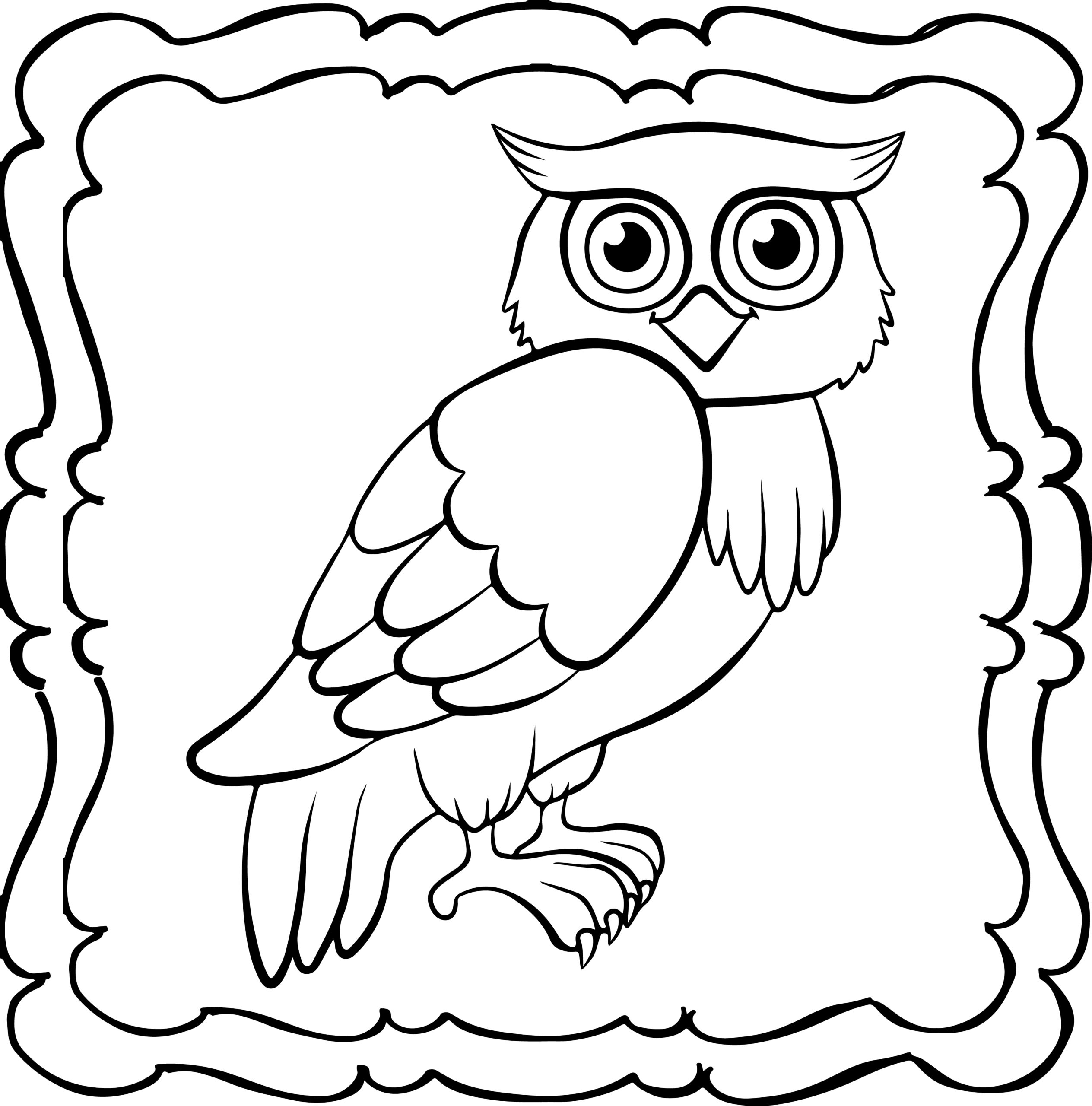 Owl Coloring Book : Easy and Fun Owls Coloring Book for Kids | Made By ...