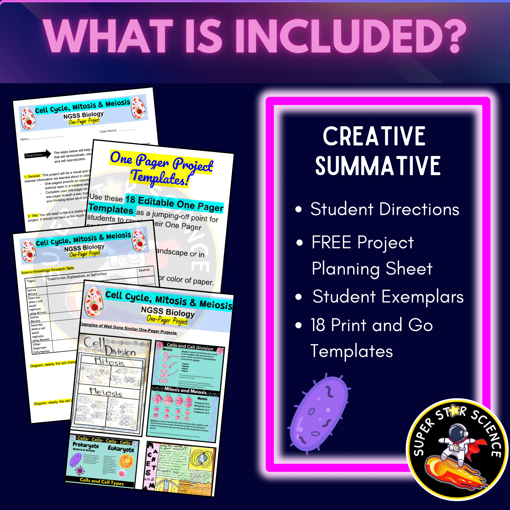 Cell Division One Pager Biology Project STEM Science Activity NGSS ...
