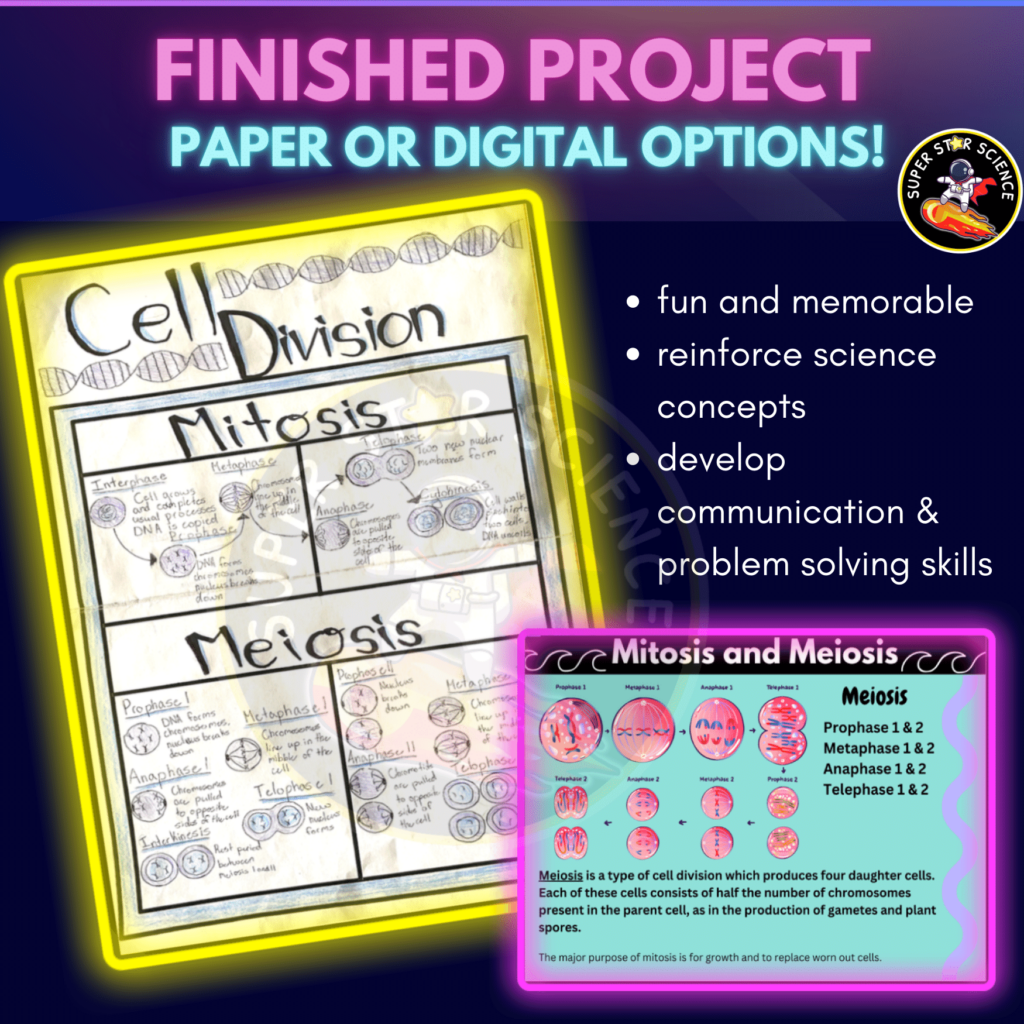 Cell Division One Pager Biology Project STEM Science Activity NGSS ...
