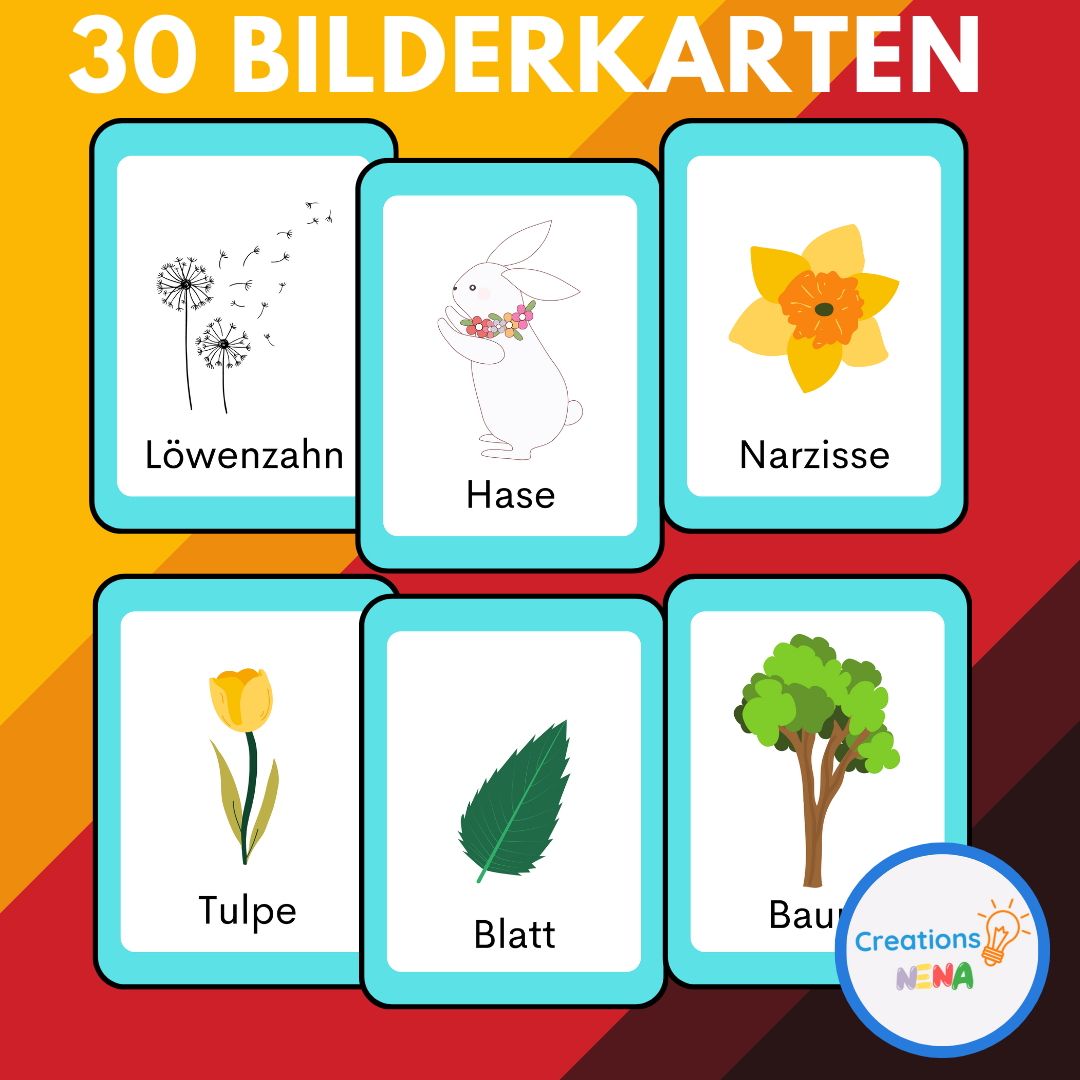 Spring Vocabulary in German ( Frühling Bilderkarten ) | Made By Teachers