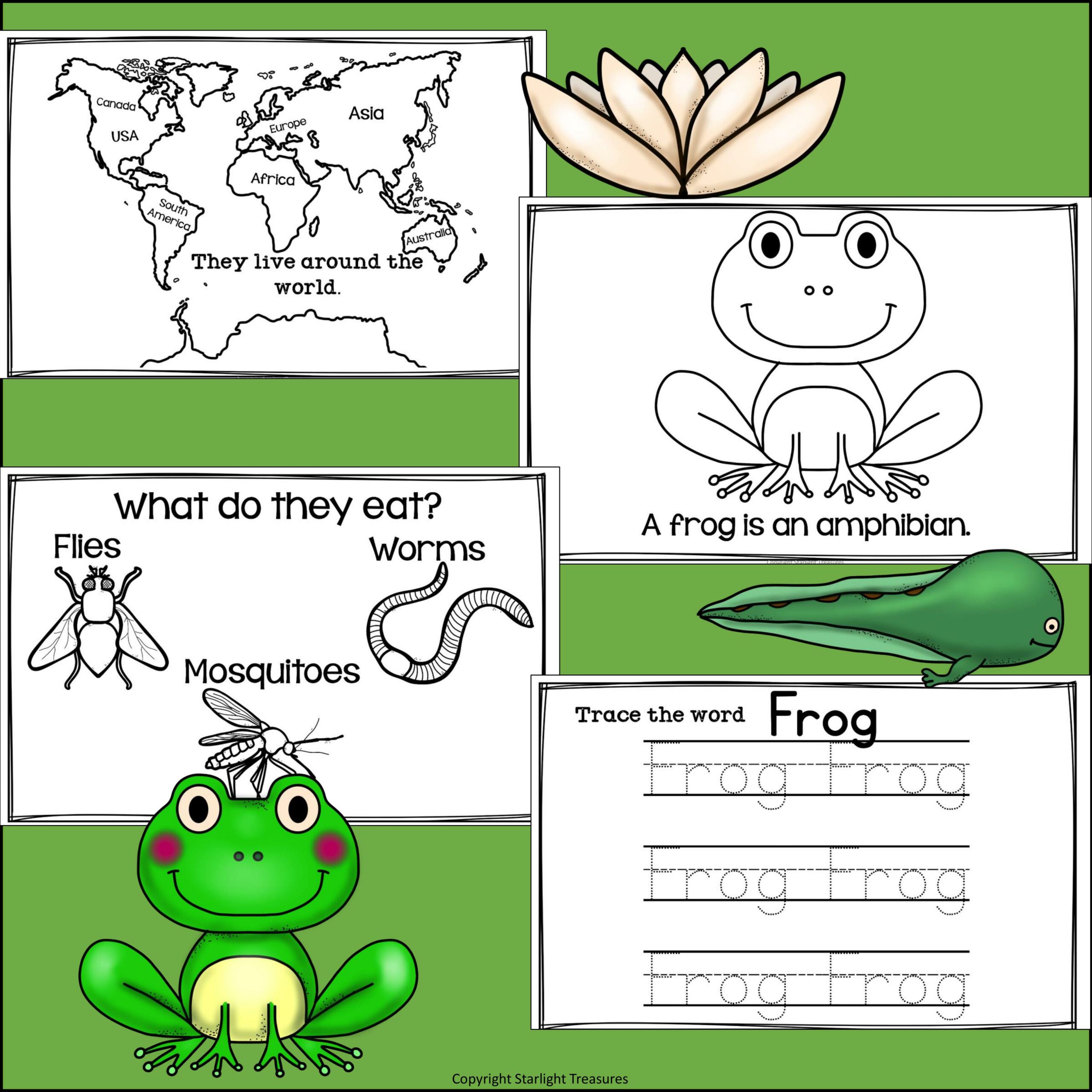 Frogs Mini Book for Early Readers - Animal Study | Made By Teachers