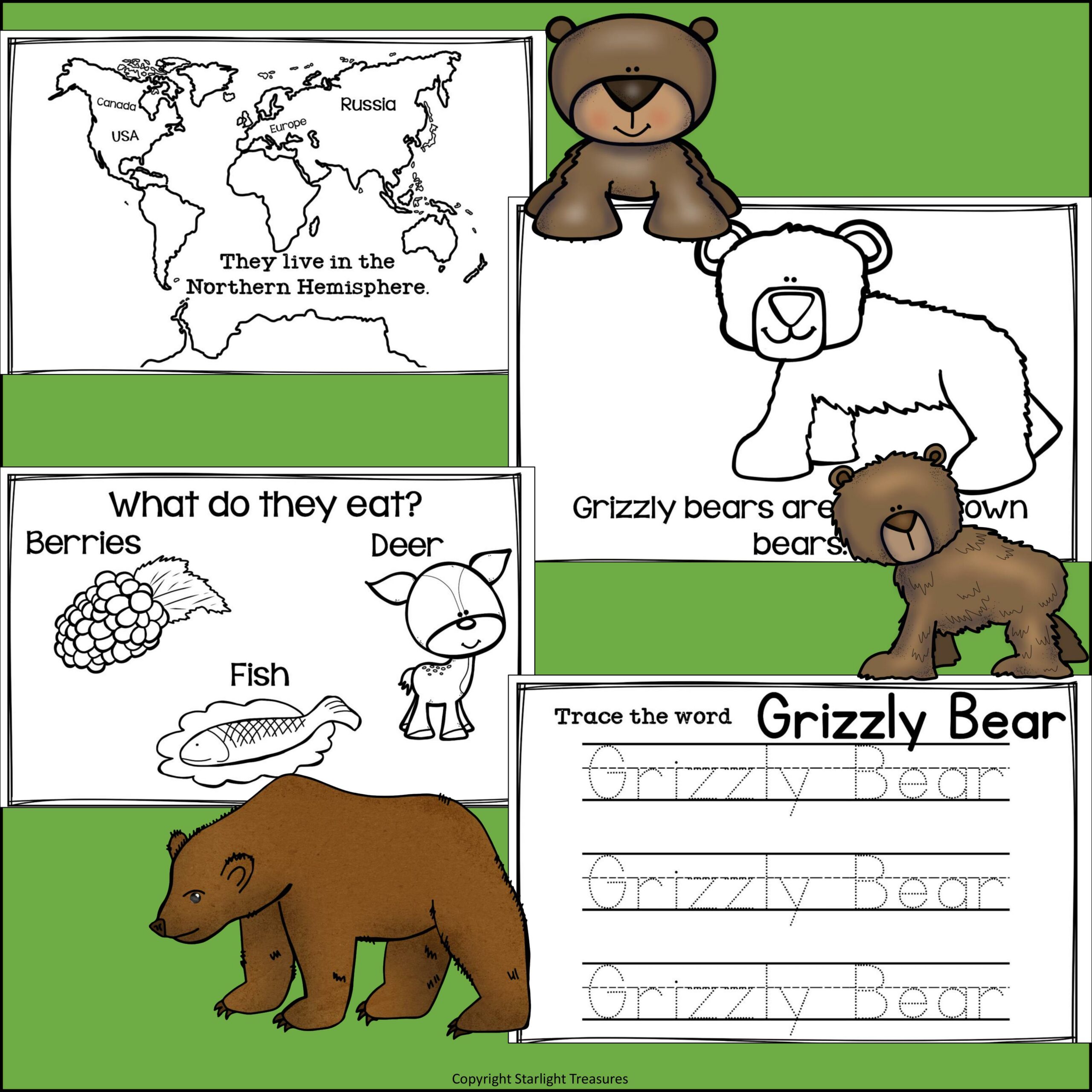 Grizzly Bears Mini Book for Early Readers - Animal Study | Made By Teachers
